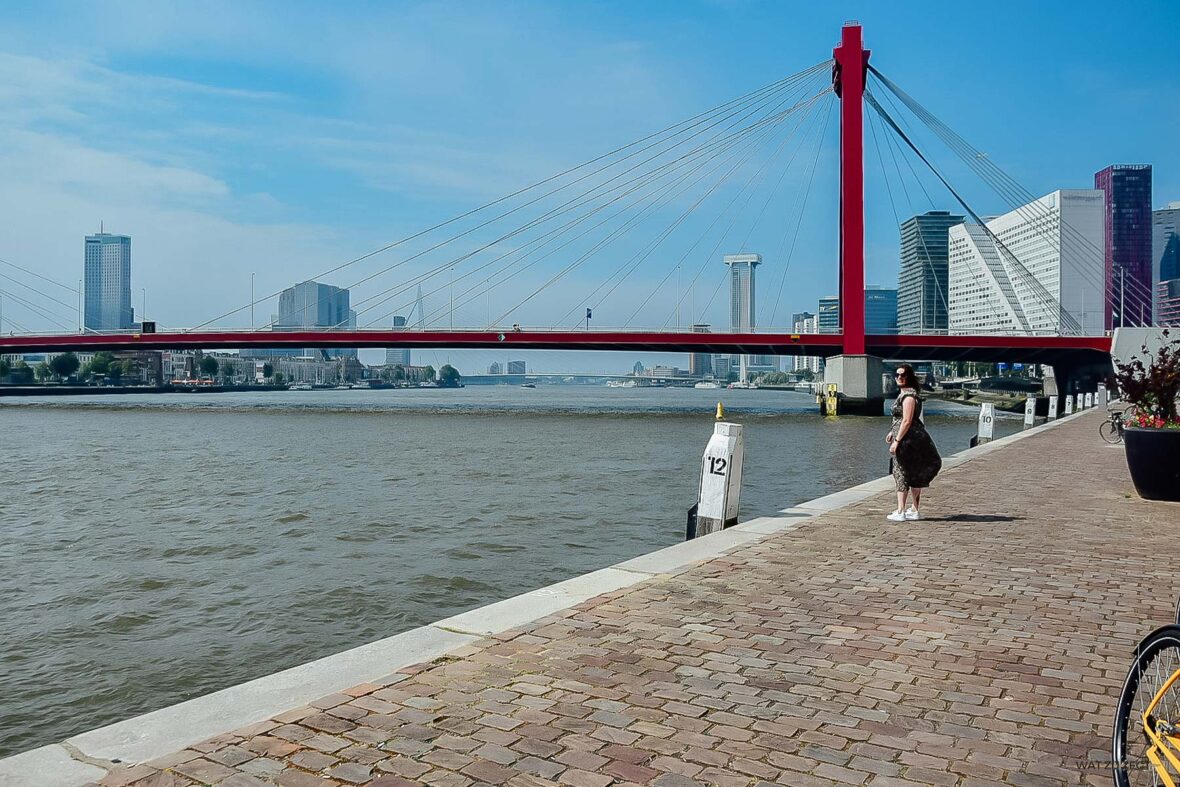 Tips voor een heerlijk weekend Rotterdam deze zomer | WAT ZIJ ZEGT