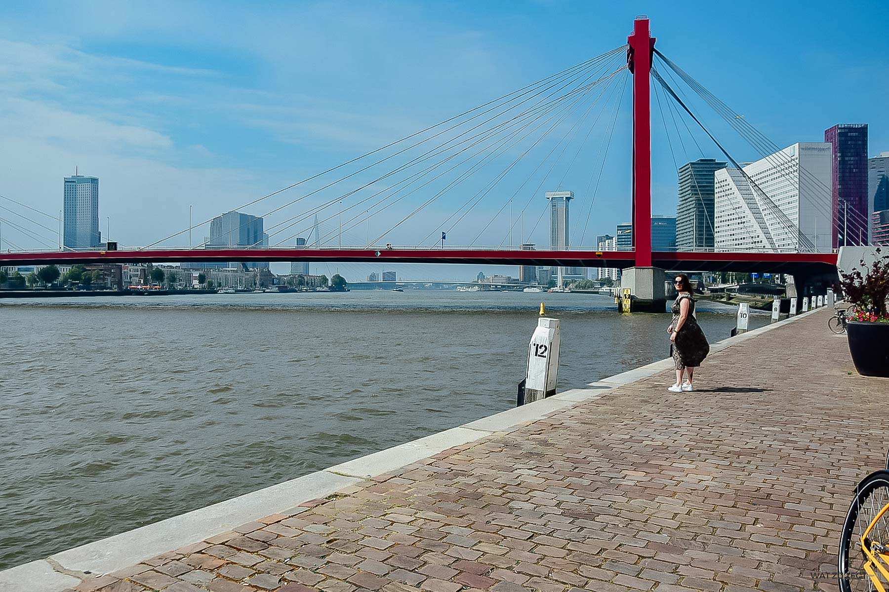 Tips voor een heerlijk weekend Rotterdam deze zomer | WAT ZIJ ZEGT