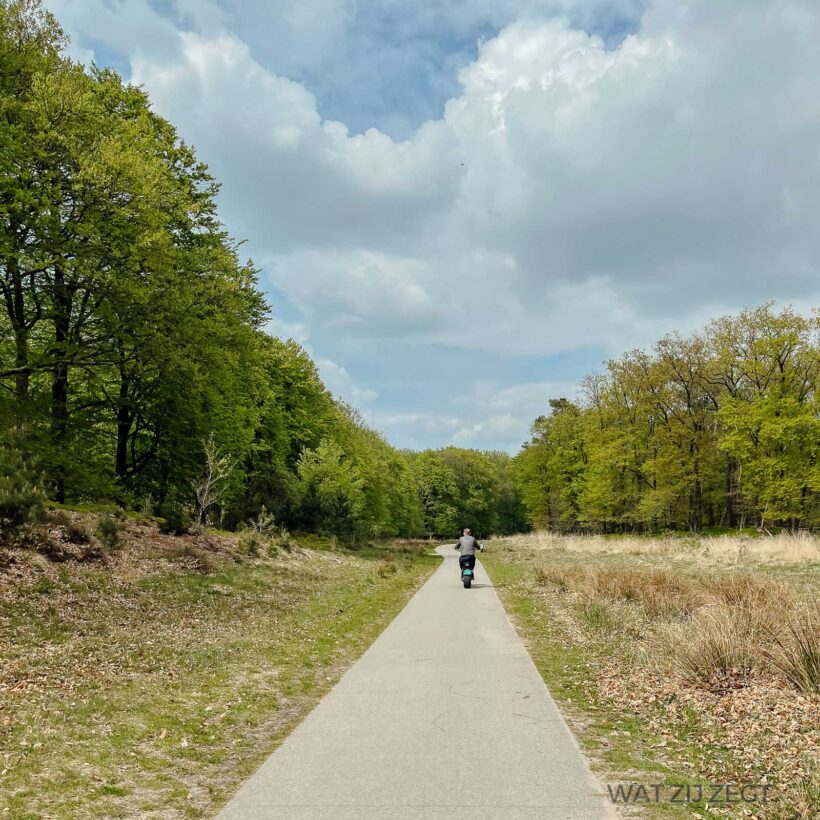 Doen op de Veluwe: 17 tips voor je bucketlist | WAT ZIJ ZEGT